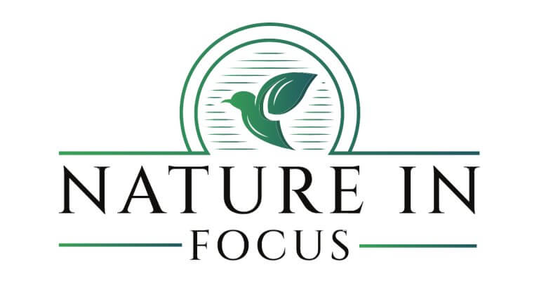 Observing Nature - Nature in Focus